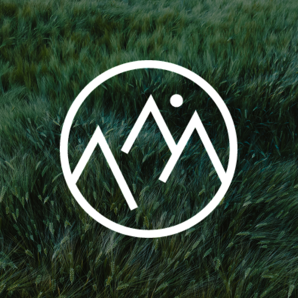 Digital solutions - Sustinere
